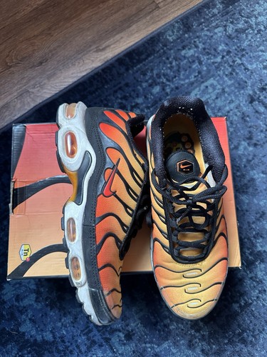 Nike Air Max Plus TN Tiger UK 8.5 | eBay