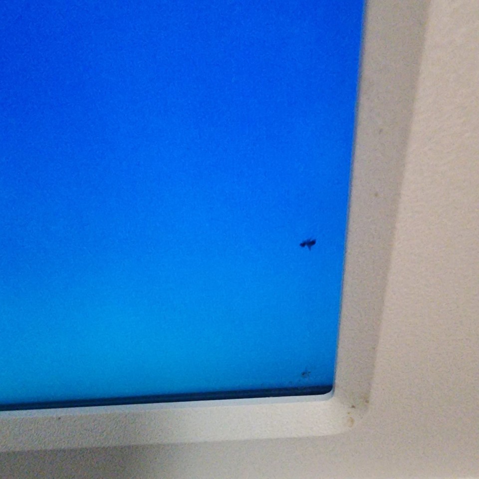 Tandy 1400 FD 25-3501 Personal Computer Powers On LCD Damage No AC FOR ...