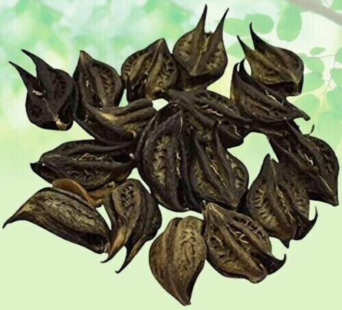 Bichhu Phal -Biccho Phal -Raw Herbs -Jadi Booti Buti - Single Herbs ...