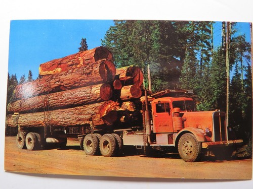 Vintage Postcard Logging Truck Diesel Tree Lumber Logs Hauling Trailer ...