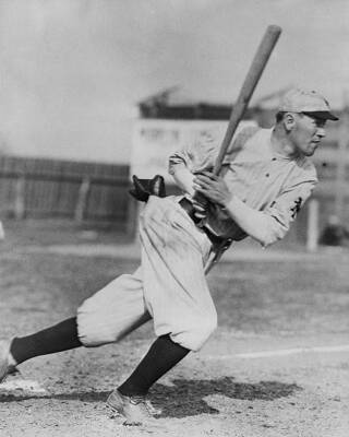Giants Spring Training Baseball 1916 OLD BASEBALL PHOTO | eBay Australia