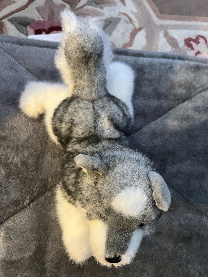 Plush Siberian Husky stuffed animal. Collectible plush by Douglas Plush ...