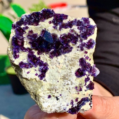 114g Natural transparent purple cubic fluorite mineral sample Inner ...