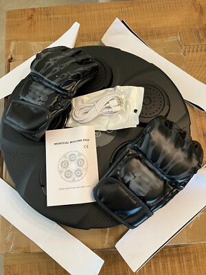 Musical Boxing Pro Interactive Workout. Boxing And Aerobic Workout. | eBay