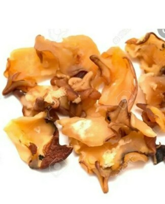 Dried Conch Meat 澳洲响螺頭 1LBS - Free US Shipping | eBay