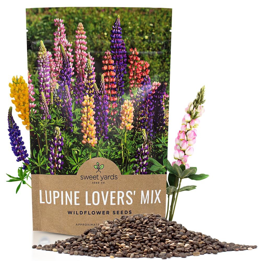 Bulk Lupine Mix Wildflower Seeds 1/4 Pound Bag - Over 4,500 Untreated ...