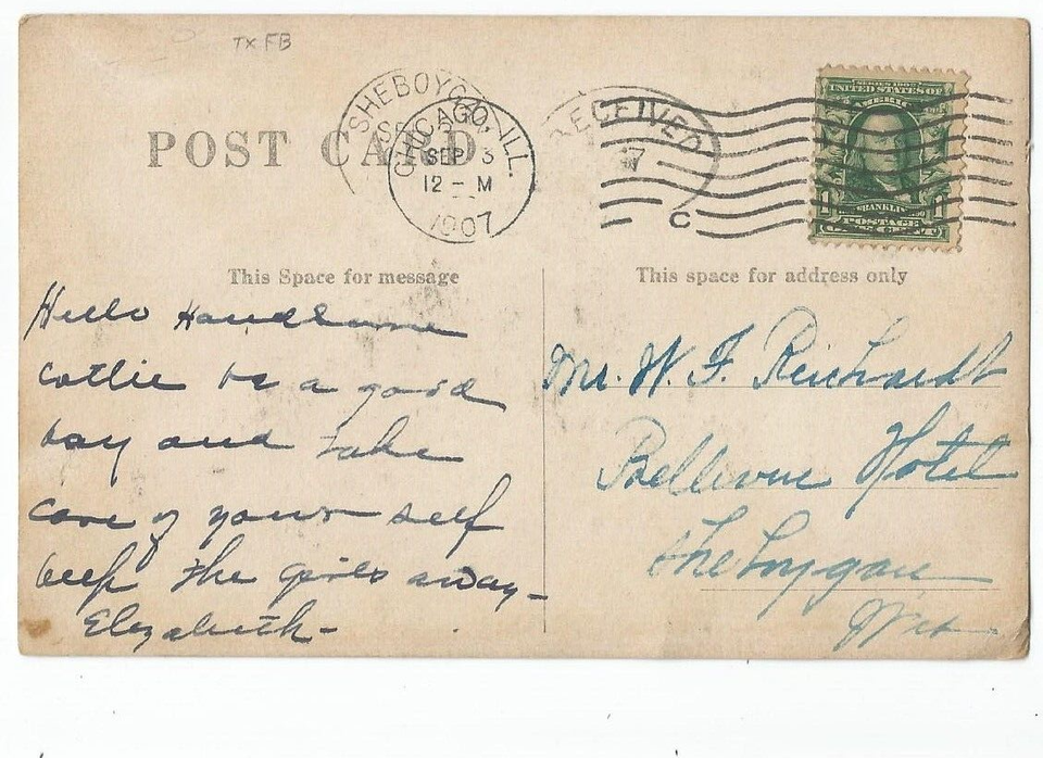 Chicago, IL Illinois 1907 RPPC Postcard, Rustic Footbridge by Chapman ...