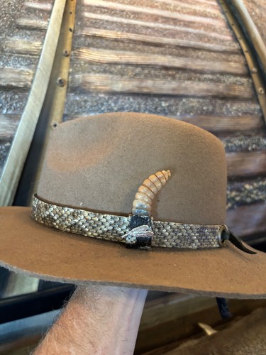 RATTLESNAKE skin hat band adjustable and rattlesnake bone Western ...