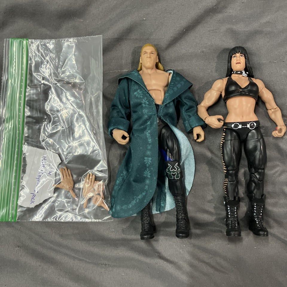 10 WWE Legends Elite Lot Displayed Only With Accessories WCW WWF ...