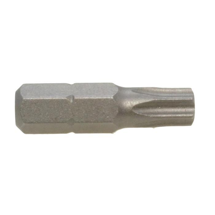 Pack Size 100 Alpha Post Torx T20 x 25mm Security Pin Tamper ...