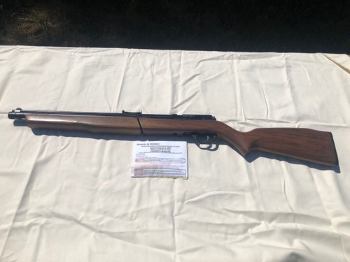 Benjamin 392 .22 Caliber Bolt Action Variable Pump Air Rifle with ...