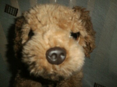 Keel Toys Signature Cuddle Puppies Dog Soft Plush 30cm approx | eBay UK