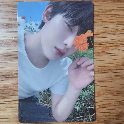 Sunoo Official Photocard Enhypen Orange Blood Weverse Version Genuine ...