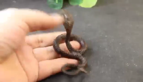 Pure Copper Snake Statue Ornament Tea Pet Animal Figurine Miniature ...