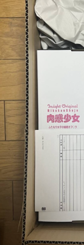 Insight official Nikkan Girl Jane 1/4 Scale Figure 2024 japan | eBay