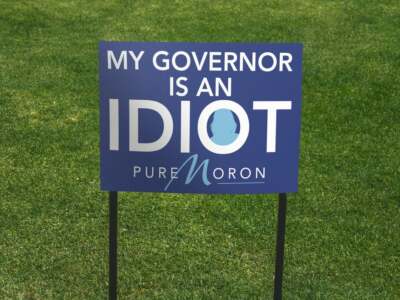 Whitmer, My Governor is an Idiot Pure Moron Double Sided Yard Sign | eBay