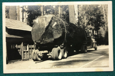 Clallam County Washington WA Postcard RPPC Photo La Poel Resort Log 9 ...