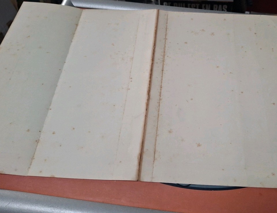 VINTAGE 1914 PUNCH BRITISH CARTOON - "THE POLITICAL JUNGLE" - L. RAVEN ...