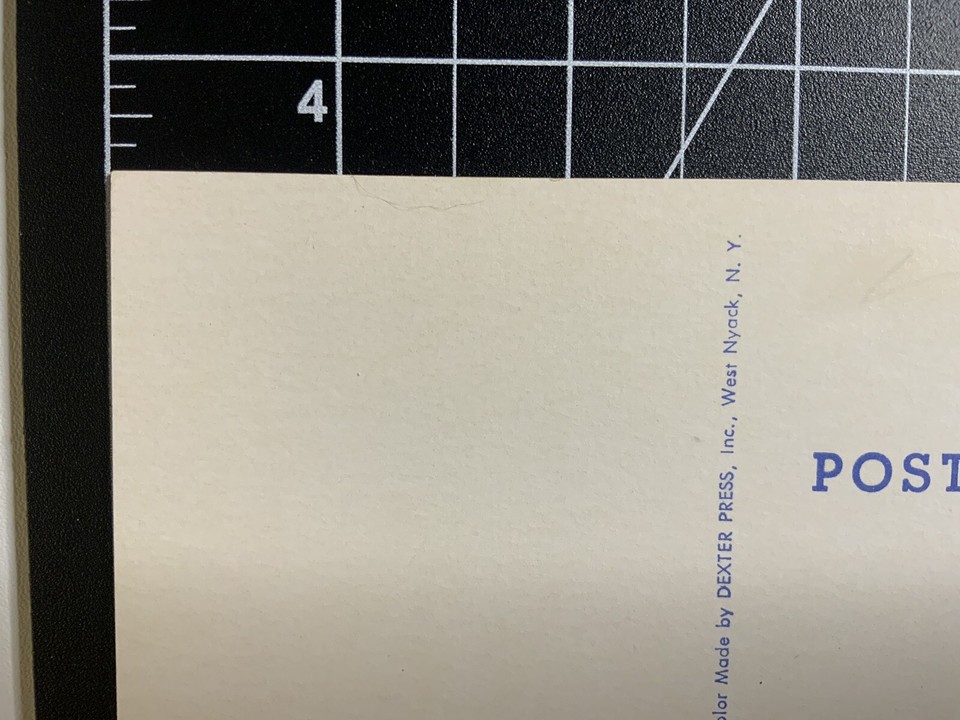 A Nice Catch Fishing Pin-up girl Free Lance Photographers Vintage ...