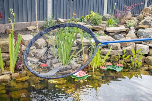 Heavy Duty Koi Pan Net 30'' Diameter HEAD ONLY, Part of PondH2o ...