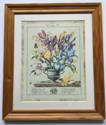 Framed Yuriko Takata Watercolour Print "IRIS”Flower Frame 30x35, Print ...