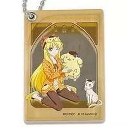 Minako Aino x Pompompurin “Pretty Guardian Sailor Moon Series x Sanrio ...