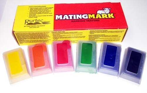 MatingMark Ram Harness Crayons - Mild Yellow | eBay