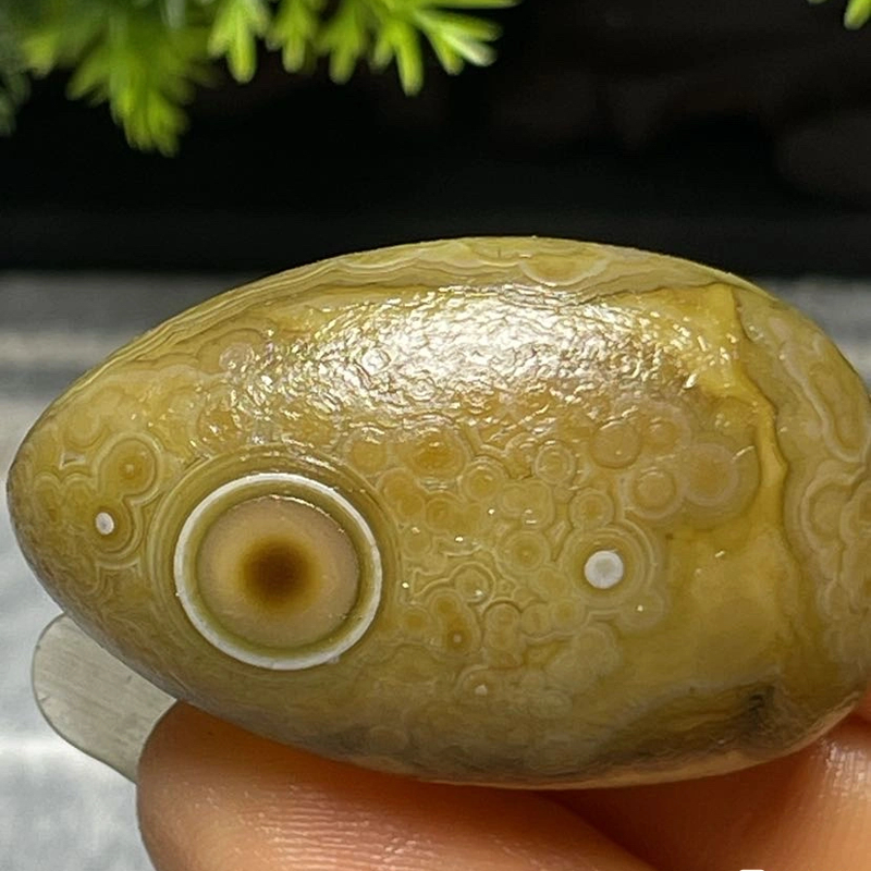 Natural Mongolia Gobi Eye Rough Agate Stone Collection Specimen | eBay