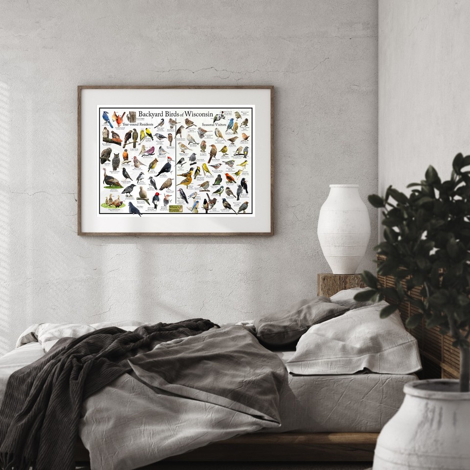 Backyard Birds of Wisconsin Bird Identification Nature Poster / Bird ID ...