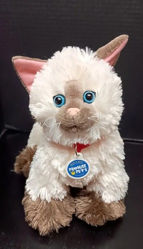 Build A Bear Pet Promise Cat / Kitten 12" Himalayan Siamese With Hooded ...