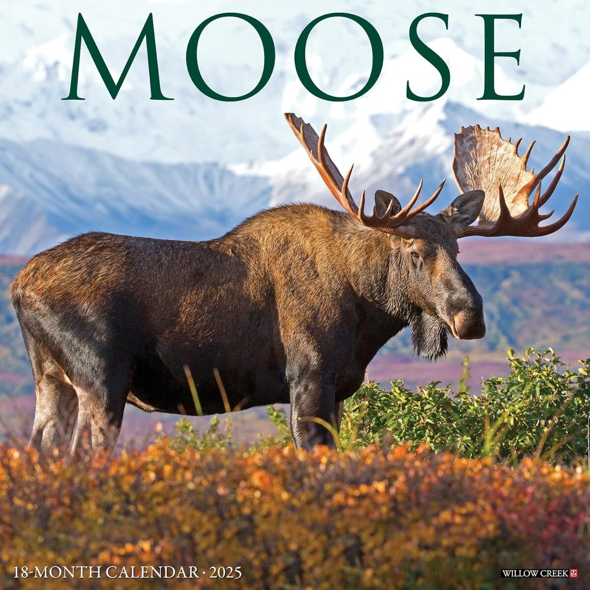 Willow Creek Press Moose Monthly 2025 Wall Calendar (12" x 12") Visit ...