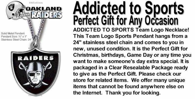 RAIDERS NECKLACE STAINLESS STEEL CHAIN RAIDER NATION NFL FOOTBALL ...