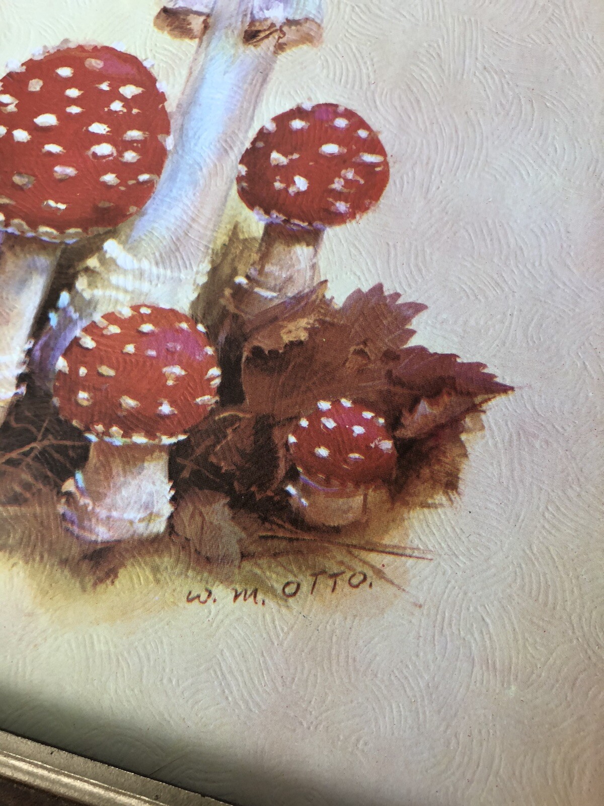Vintage 1970's W.M.OTTO Mushrooms Print On Board Wall Hanging Retro ...