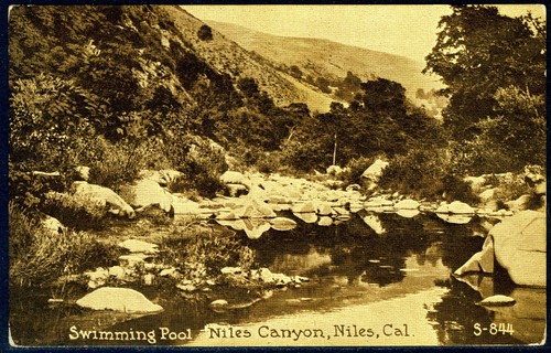 Niles, CA sepia postcard 'Swimming pool' Souvenir Pub. S-844 unposted ...