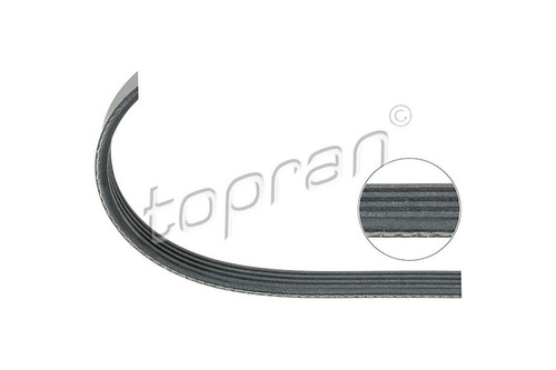 Audi BMW VW A/C Drive Belt 4PK855 80 B4 A4 B5 A6 C5 E36 318i 316i ...