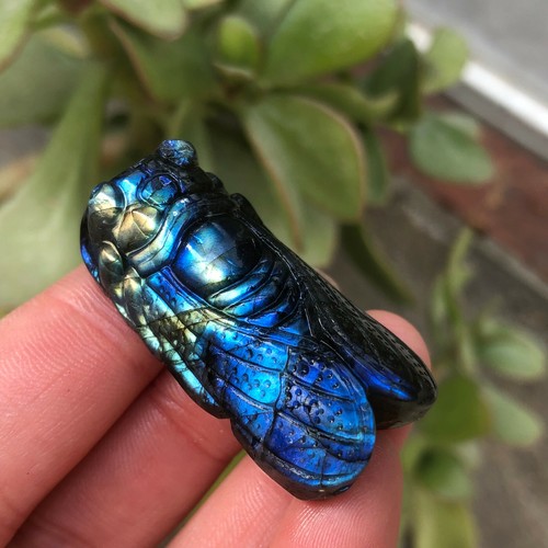 1.8‘’Natural Labradorite Quartz Hand Carved Cicada Skull Crystal ...