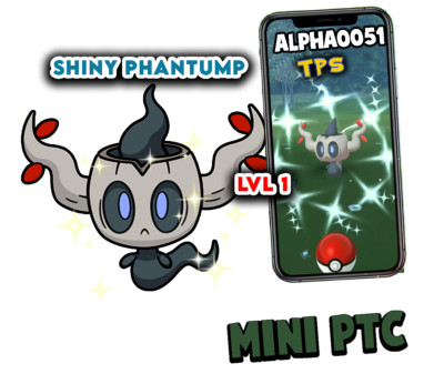 Pokemon Shiny Phantump L1 mini P T C 80k | eBay