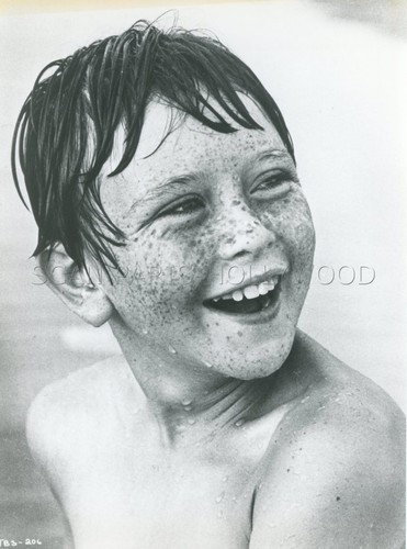 KELLY RENO THE BLACK STALLION 1979 VINTAGE PHOTO ORIGINAL #4 | eBay