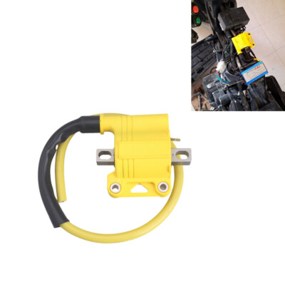 1x Motorcycle Ignition Coil For 4T/2T Motorcycle Electronic Fuel ...