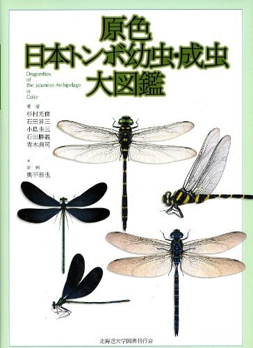 Dragonflies of the Japanese Archipelago in Color Picture Book Visual ...