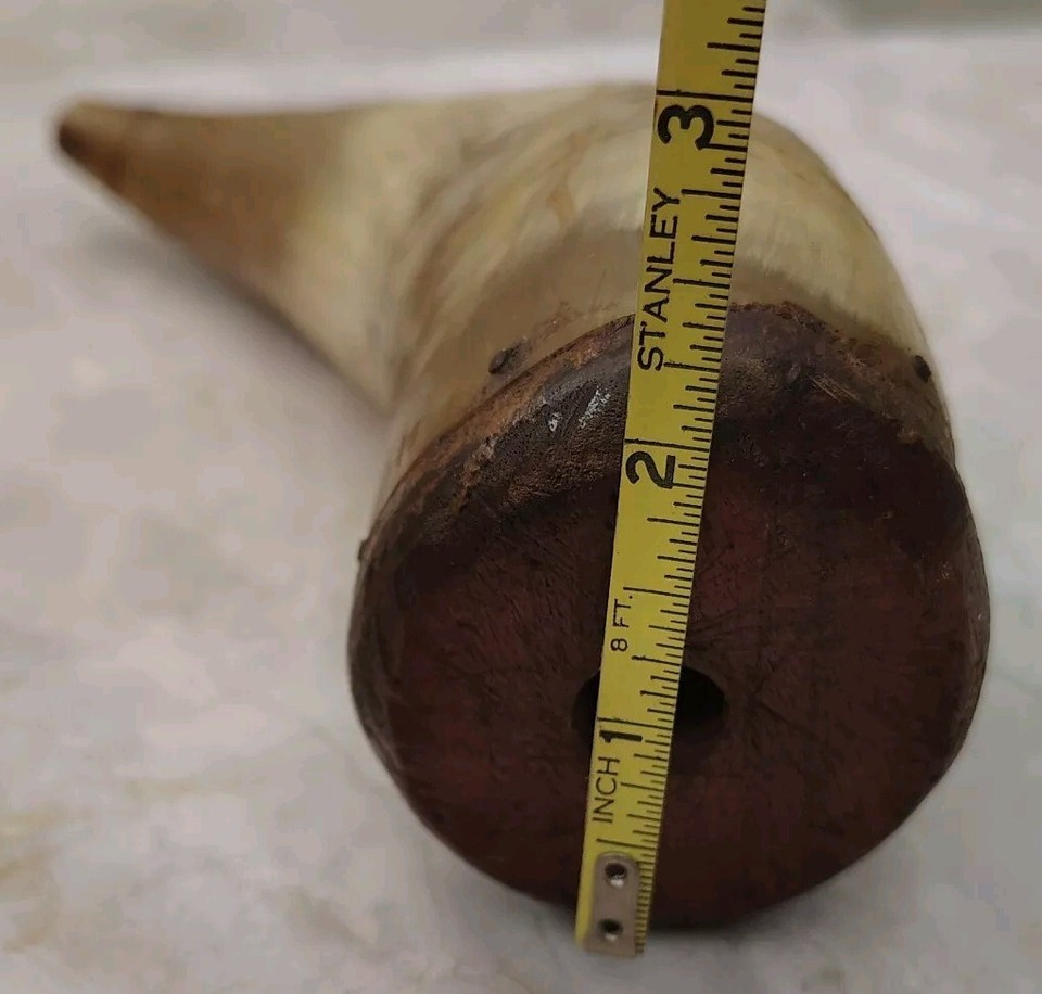 Vtg Carved Gun Powder Horn Muzzleloader Buck Deer Tree Wood Cap Estate ...