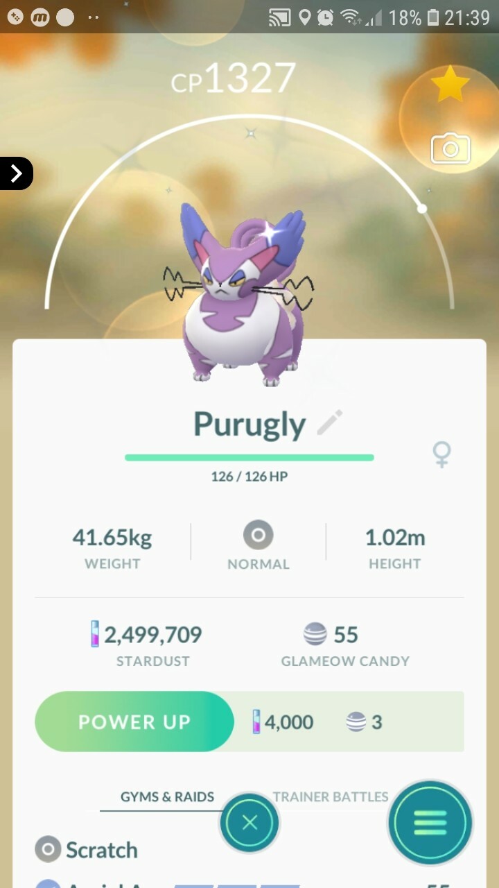 Pokemon Shiny Purugly ( Glameow Evolution ) Go | eBay
