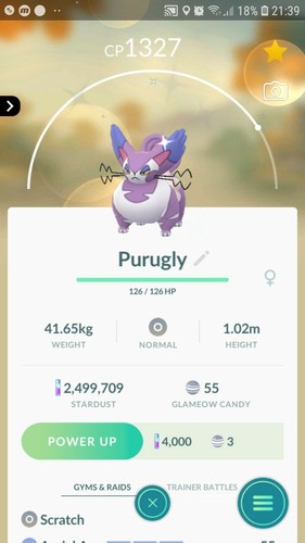 Pokémon Shiny Purugly ( Glameow Evolution ) GO | eBay