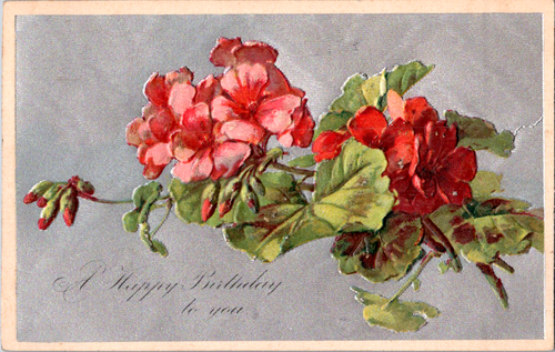 Vintage Postcard Birthday Pink Red Geraniums On Silver Background | eBay