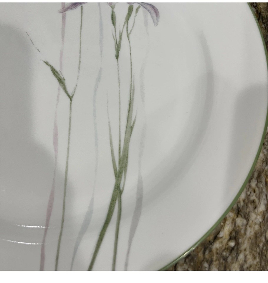 Corelle Shadow Iris Dinner Plates 10 1/4” Set Of 2 Green Rim ...