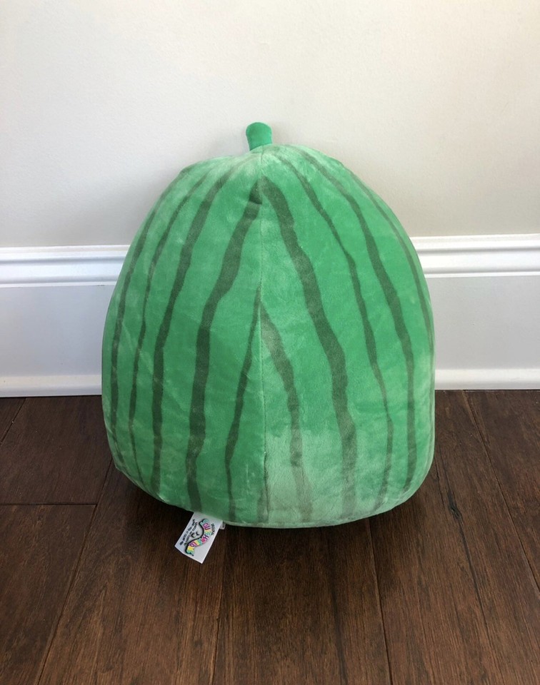 12” Wanda/Wyatt the Watermelon Squishmallow | eBay
