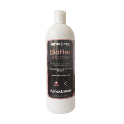 BioHex Chlorhexidine and MicroSilver Shampoo for Dogs and Cats ...