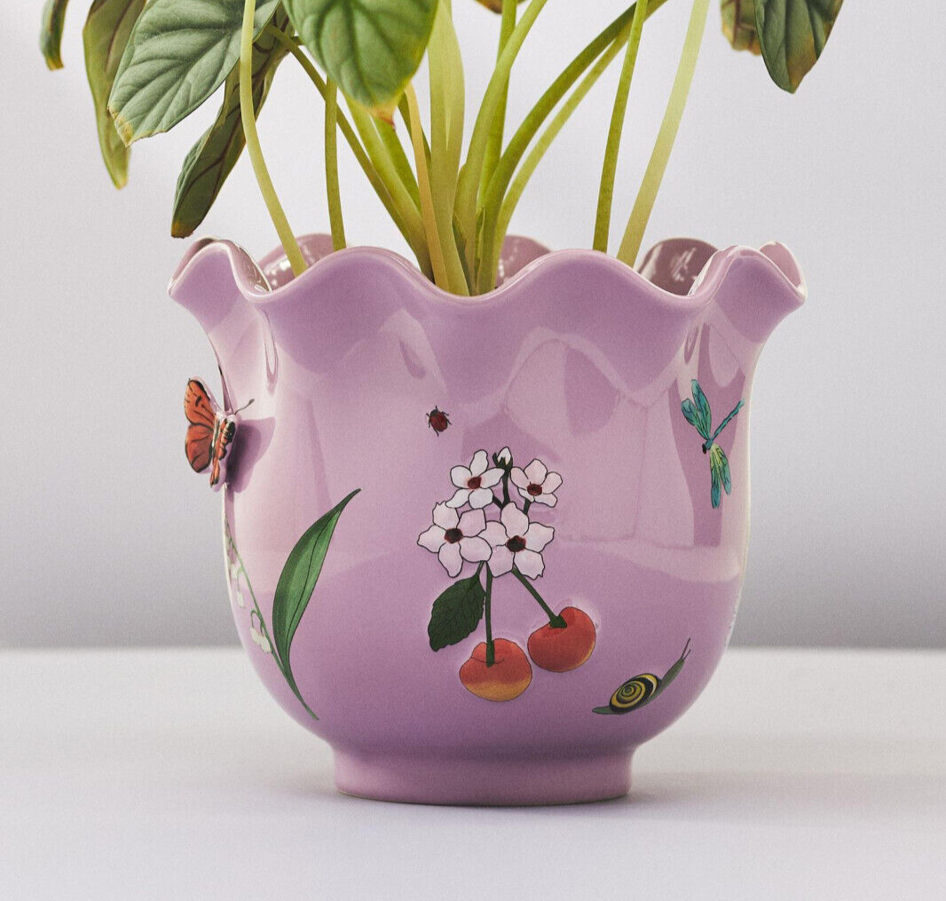 Butterfly Ceramic Planters Christia Butterfly Plant Purple (0.2m)