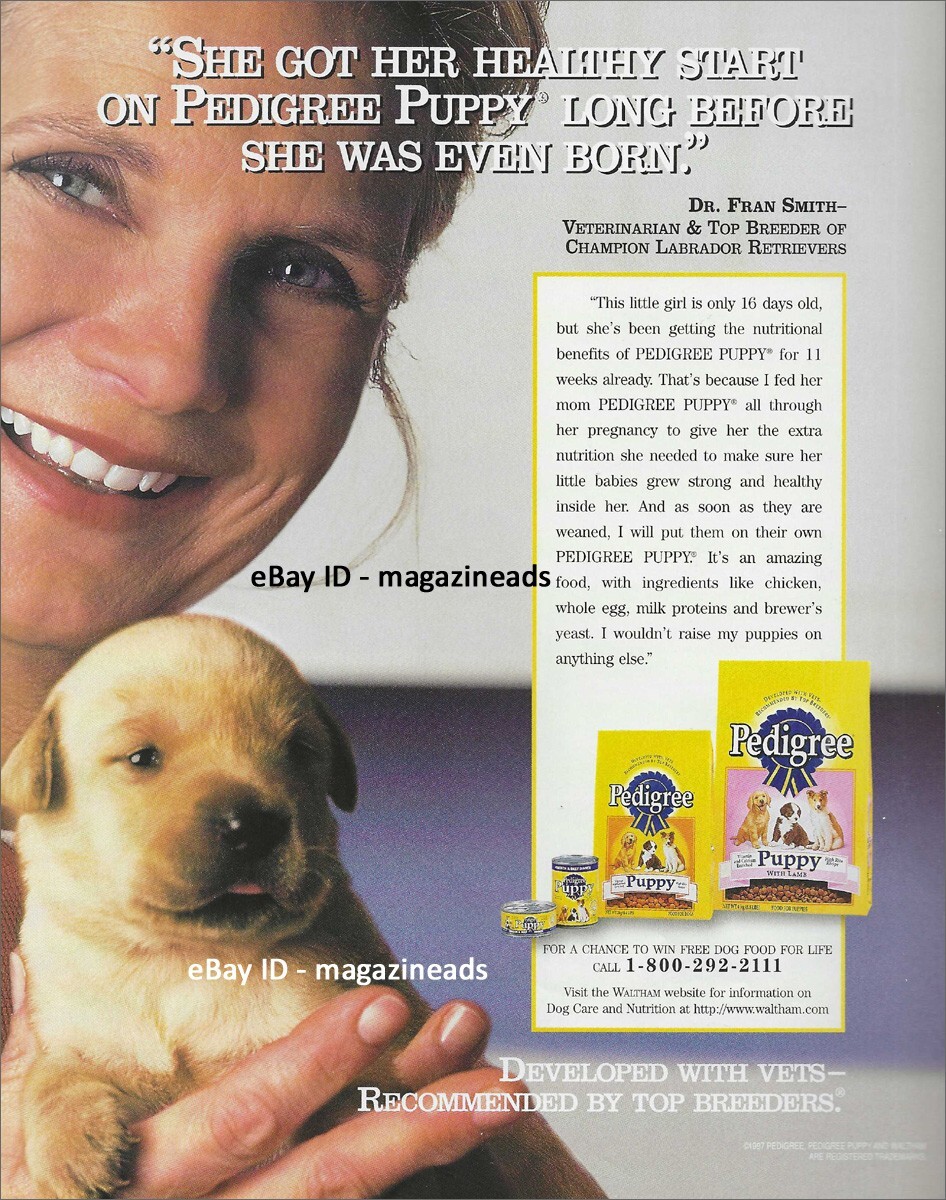 PEDIGREE 1-Page MAGAZINE PRINT AD 1997 LABRADOR RETRIEVER puppy DR ...
