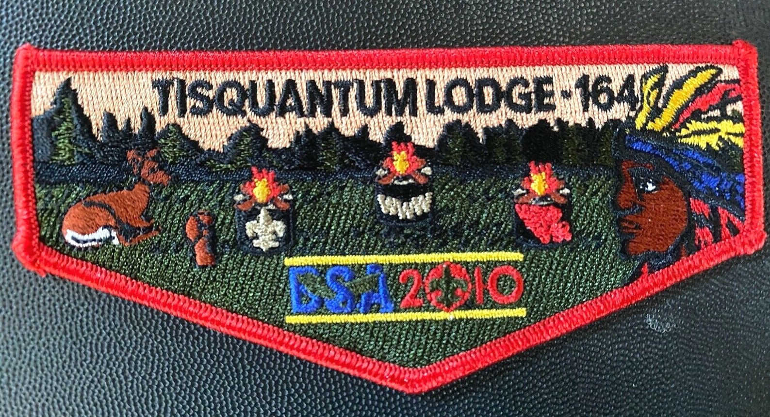 Tisquantum Lodge #164 (S-66) ... 2010 Flap | eBay